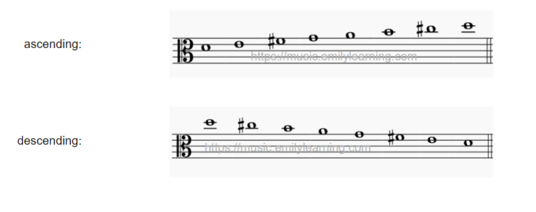D Major Scale - Emily Learning Music