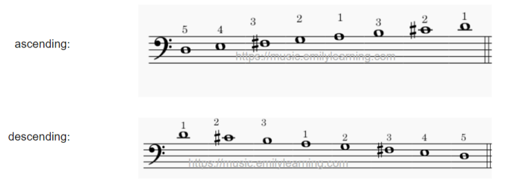 D Major Scale - Emily Learning Music