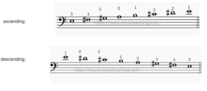 E Major Scale - Emily Learning Music