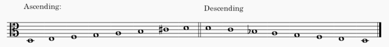 D Minor Scale - Emily Learning Music